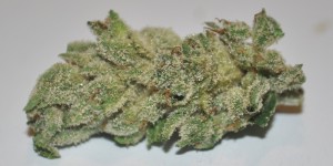 Skywalker OG Strain Review