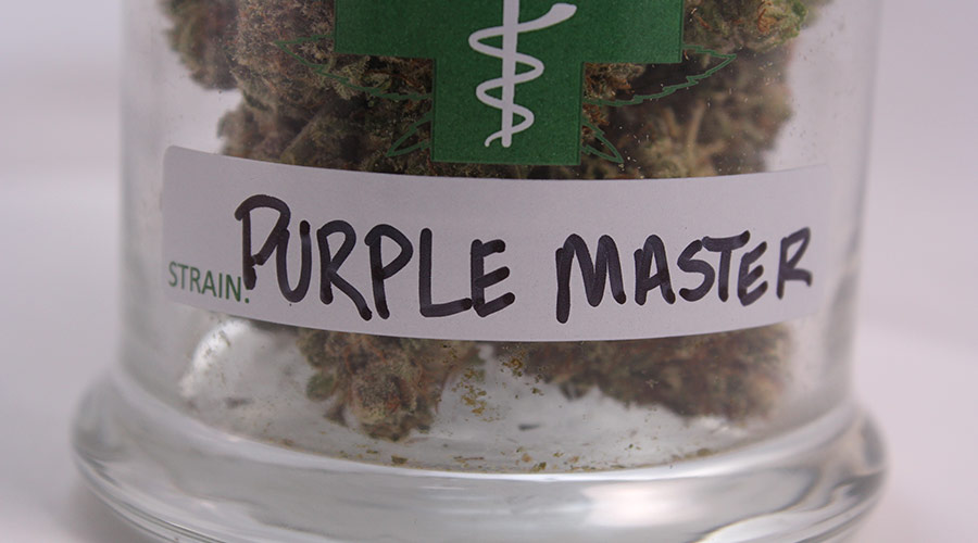 Purple Master Strain Review | Marijuana Strains Review